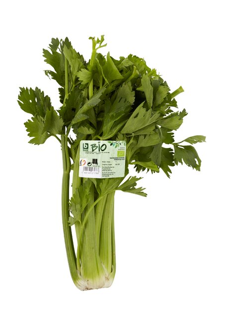 Groene selder BIO 1st - Solucious