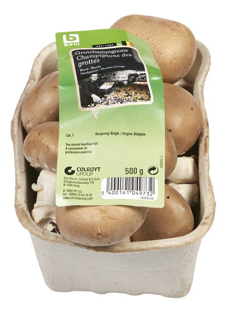 Champignons grottes 500g - Solucious